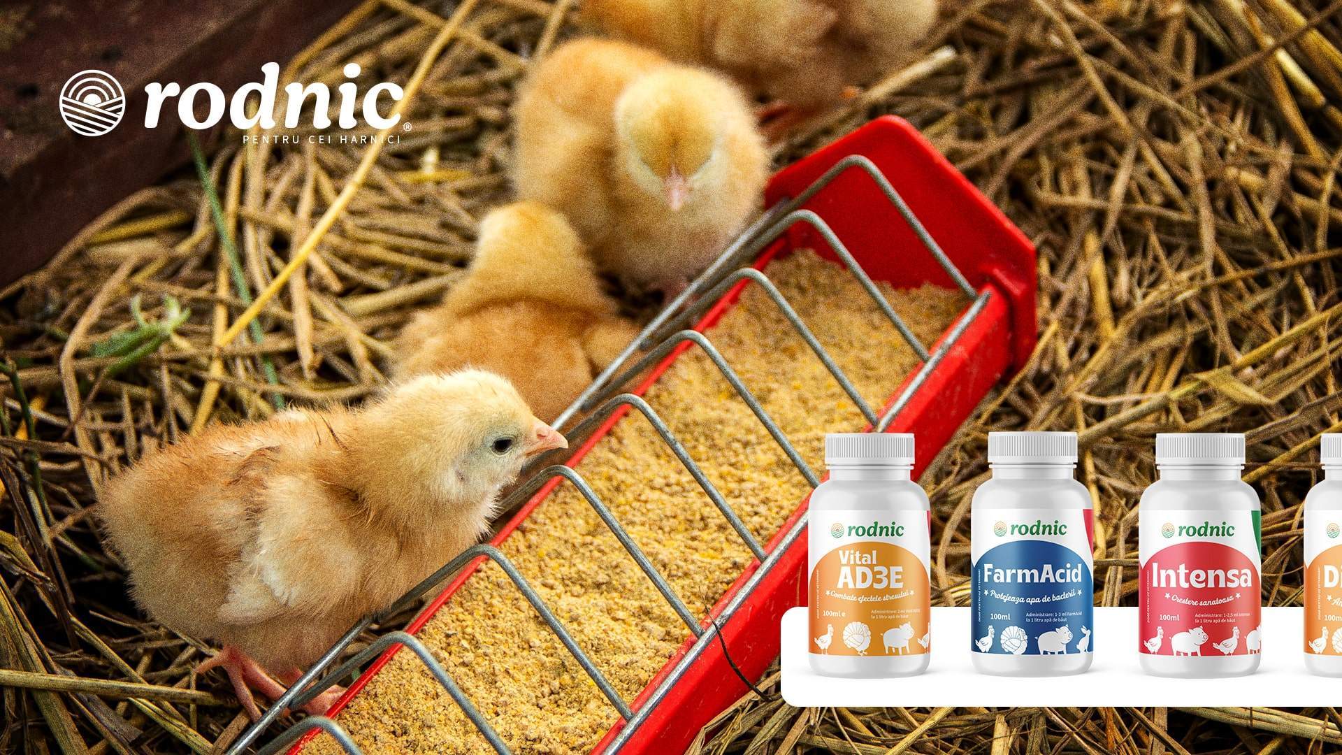 La Rodnic găsești furaje pentru animale, de la mic la mare | Rodnic